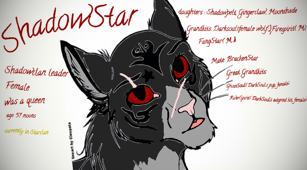 ShadowStar( shadowclan elder leader in starclan oc by JayfeatherxxDovewing on DeviantArt