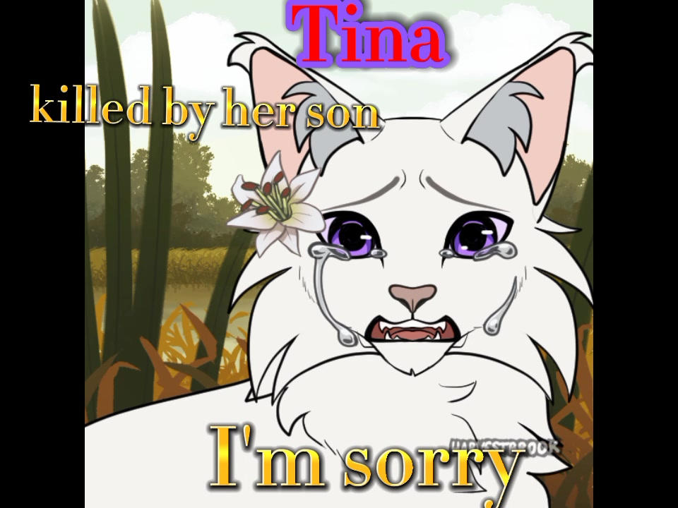 My cat oc and there last words by robotcat2000 on DeviantArt