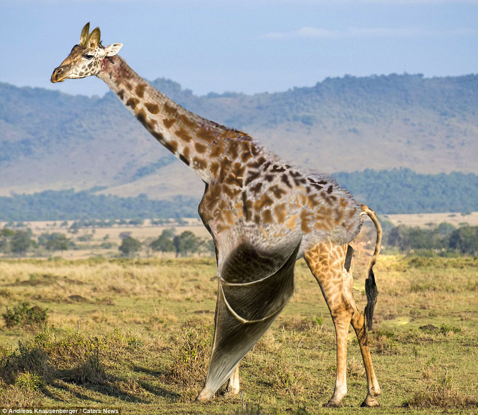 Monster Mashup by Abockley on DeviantArt