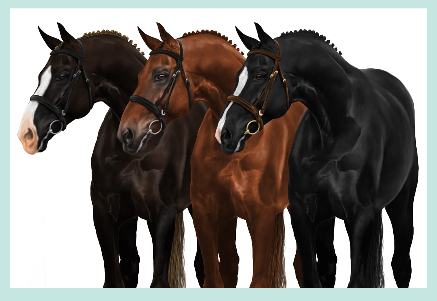 Horseportrait Base by dropofequineart on DeviantArt