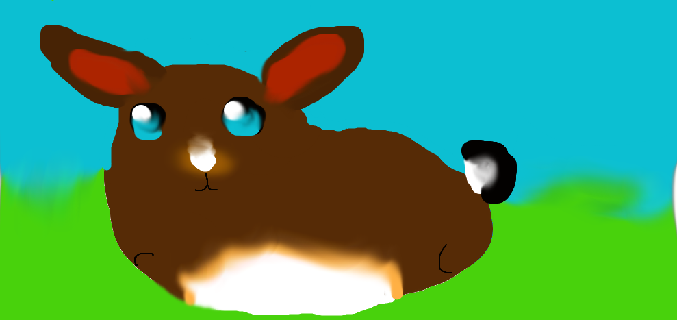 Penny (Aka: My rabbit) by Funcupcakes-art on DeviantArt