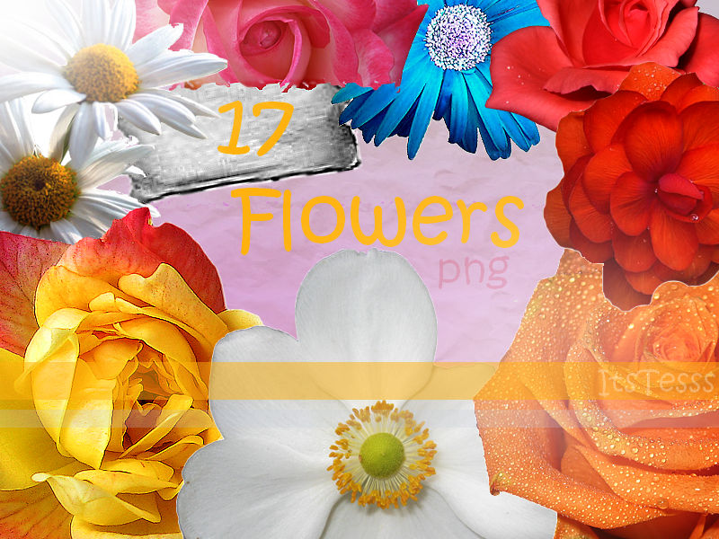 Flower PNG Pack by ItsTesss on DeviantArt