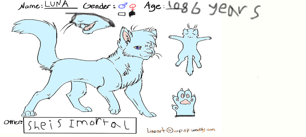 Luna the Imortal Cat by LunaXTheXWhiteXWolf on DeviantArt