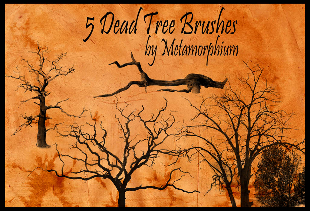 5 Dead Tree Brushes by Metamorphium on DeviantArt