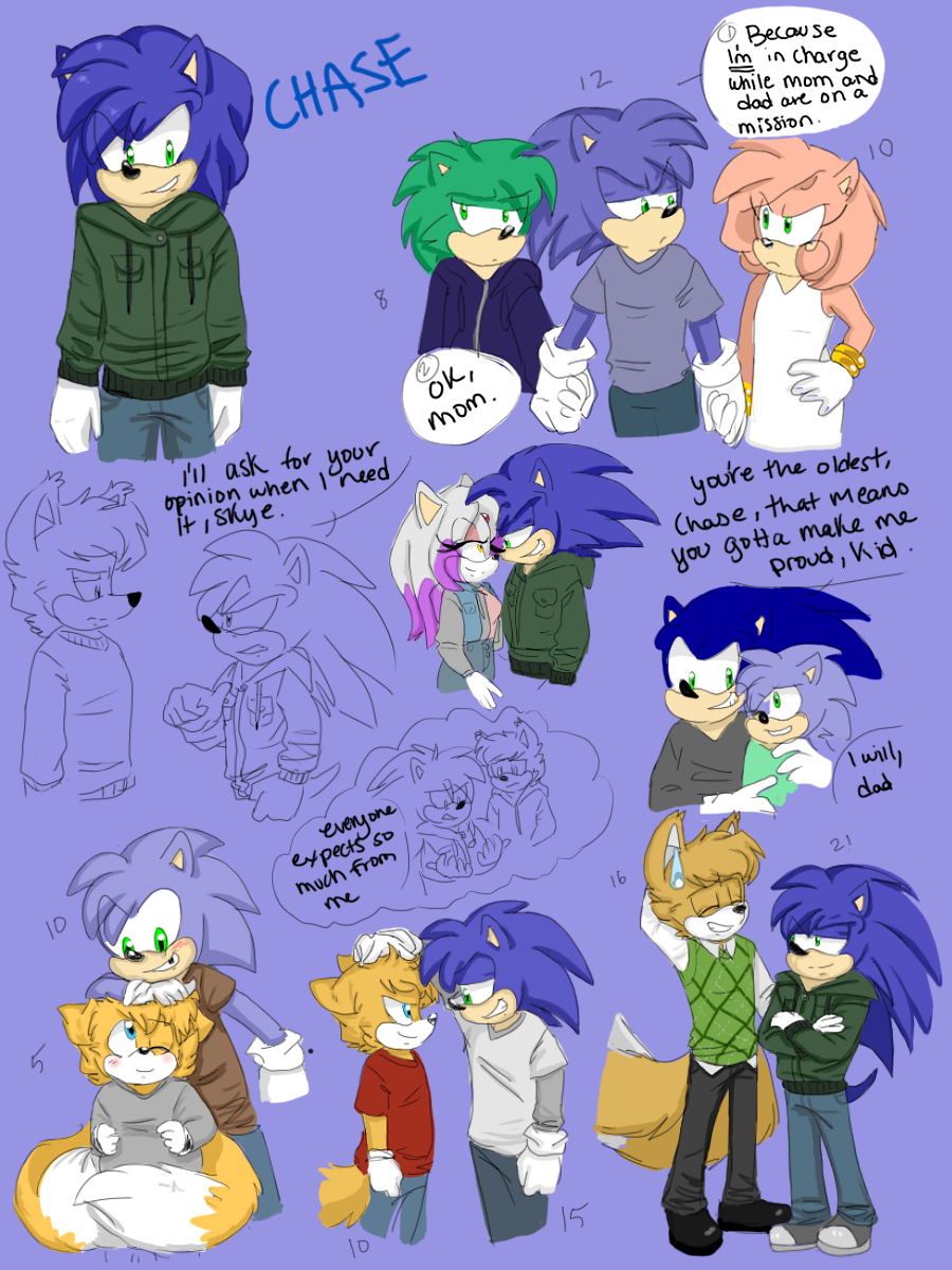 Chase The Hedgehog by CandiCindy on DeviantArt