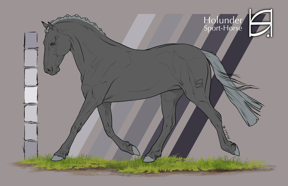 HSH Import Template by Asilal on DeviantArt