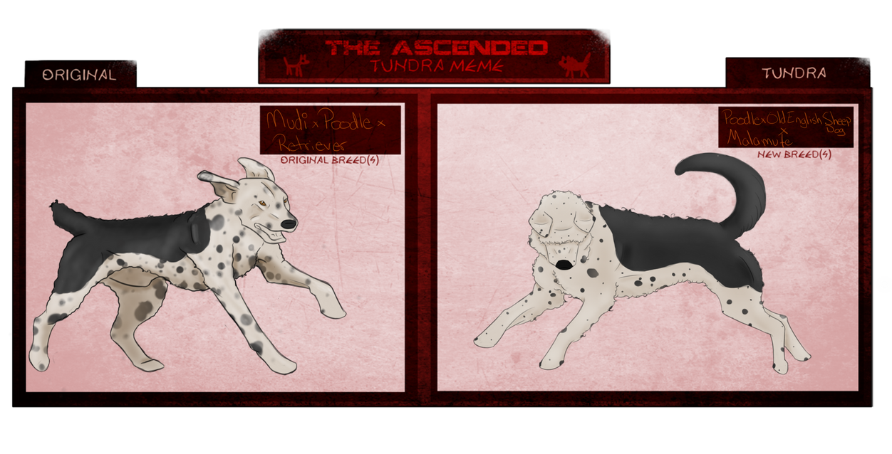 Ruka Tundra Meme by fangpaw331 on DeviantArt