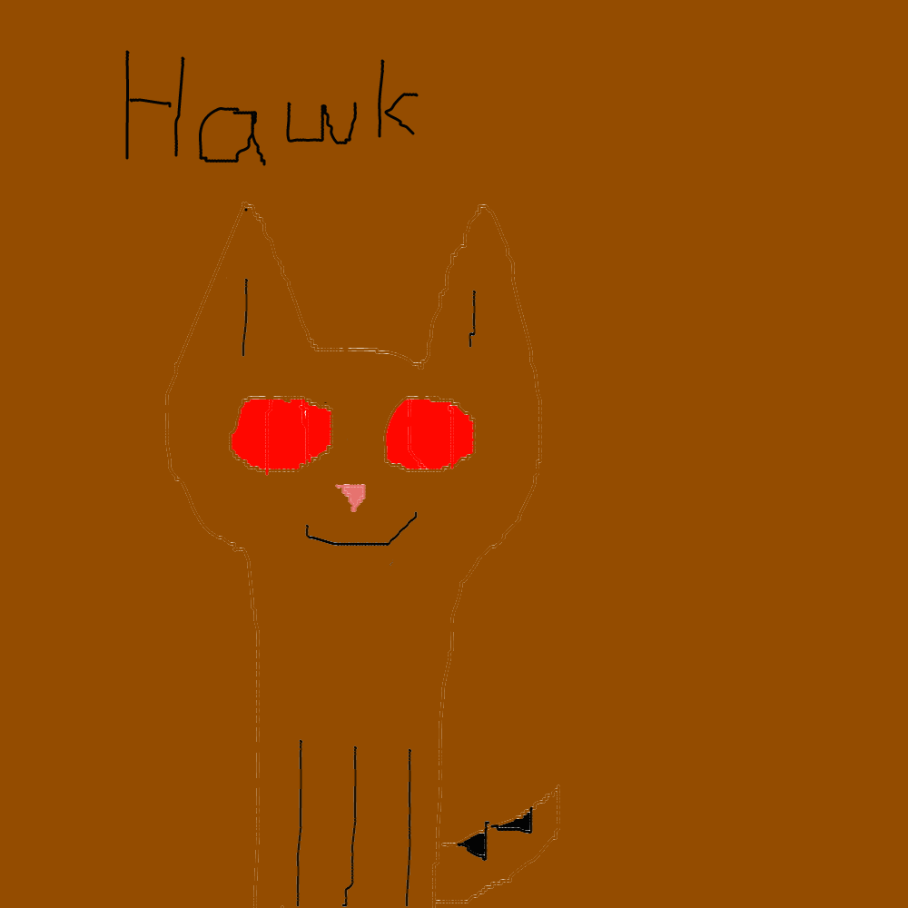 Hawkkit/Hawkpaw/Hawktalon by Julyart11 on DeviantArt