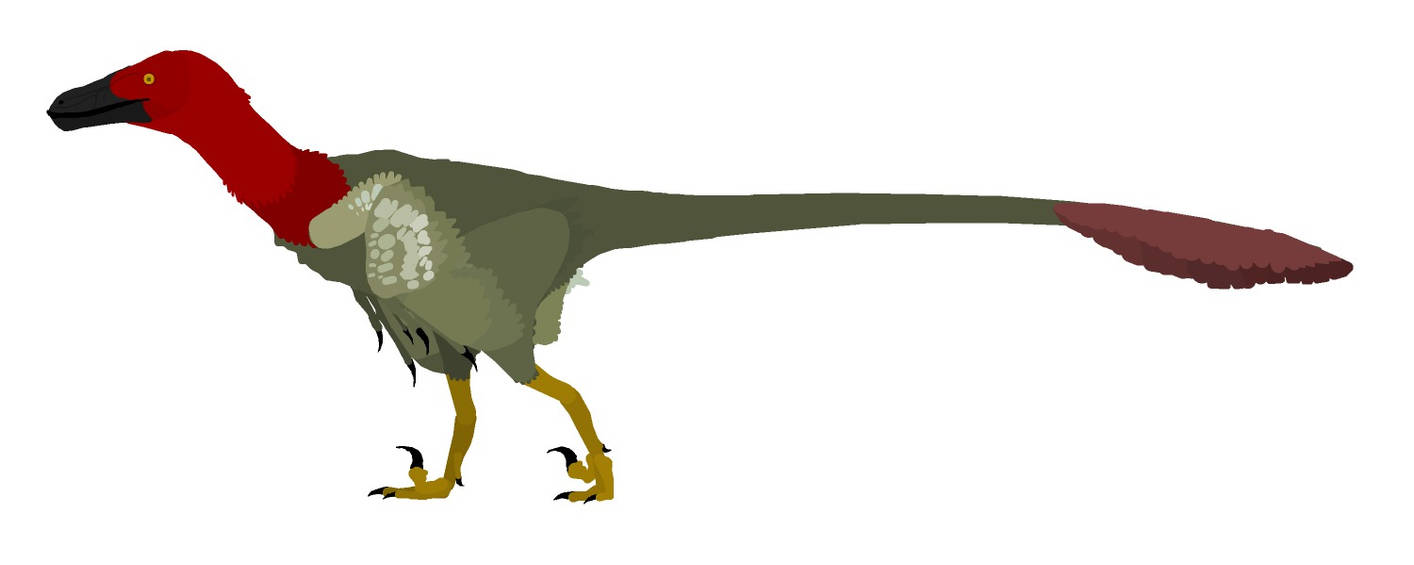Acheroraptor temertyorum by Suchomimus65 on DeviantArt