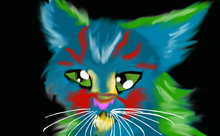parrot cat by Blackwolfinfinity on DeviantArt