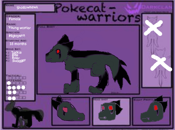 Pokecat applications by LollypopLeopard on DeviantArt