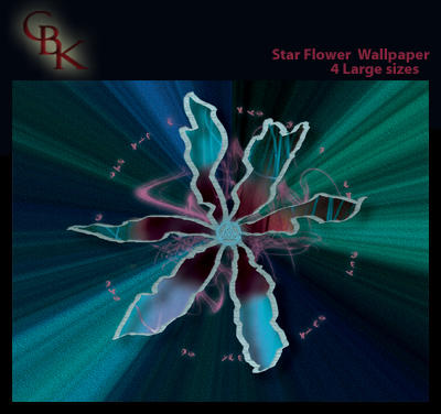 Star Flower Desktop Wallpapers by MsKendra on DeviantArt