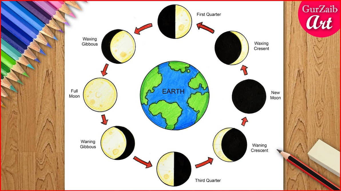 How to draw The Phases of the Moon diagram drawing by amigodoctor on ...