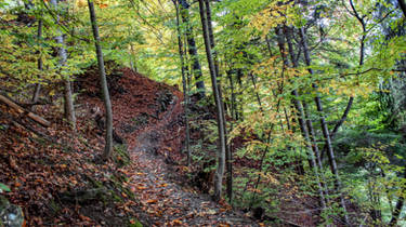 GTA IV EFLC Icon by brunolee12 on DeviantArt