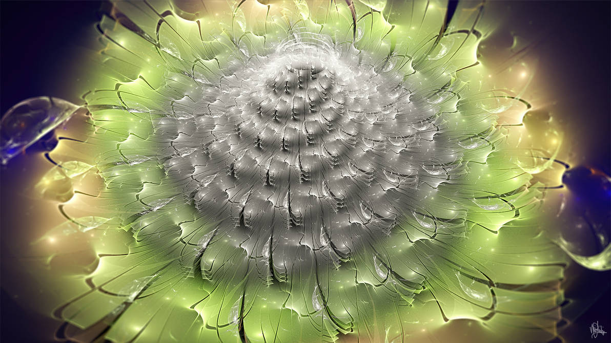 Liquid Flower by spiraloso on DeviantArt