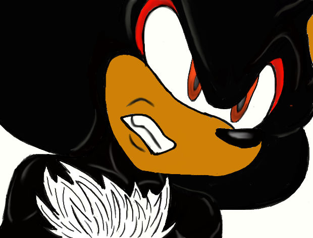 Shadow T. Hedgehog by AngelaSaphireRose on DeviantArt