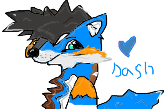 Dash [#3] final product by lizzthedark1 on DeviantArt