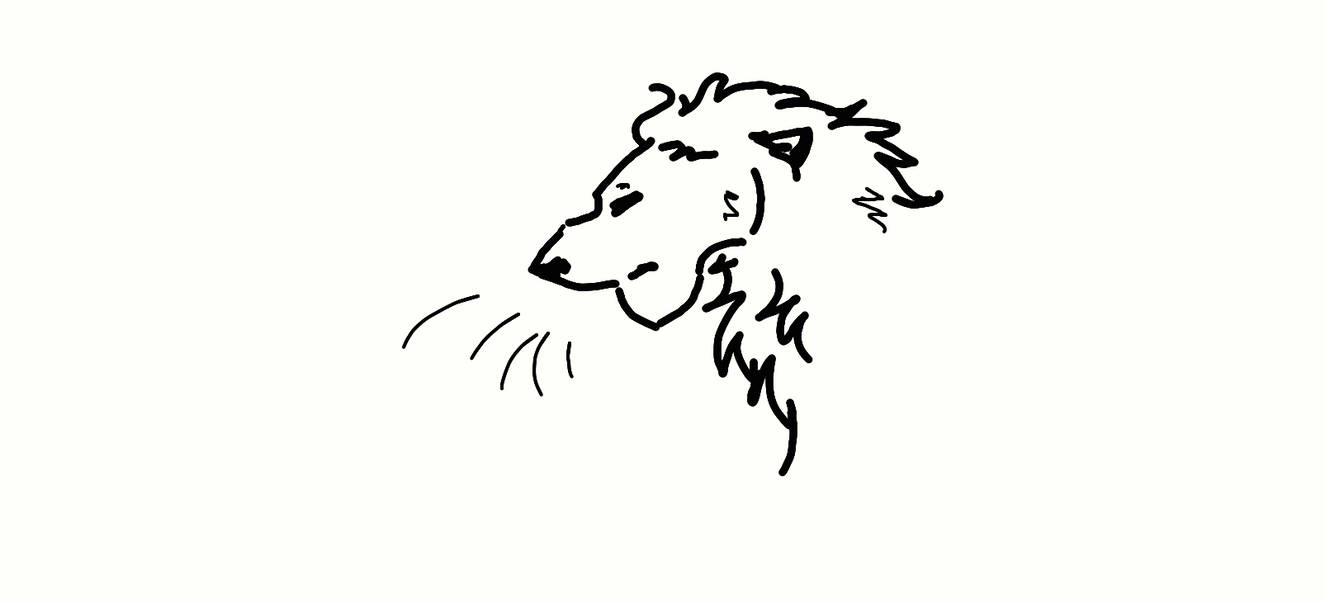 Untitled Drawing by Wild-Animal-Reserve on DeviantArt