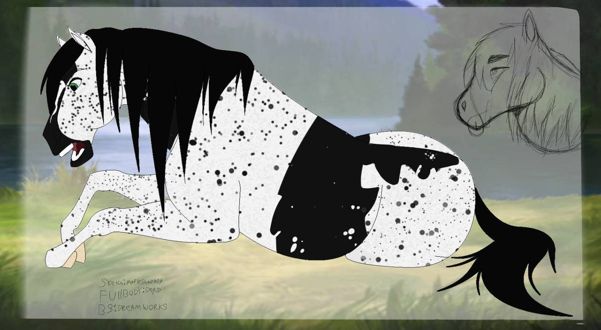 Spirit--riding-free DeviantArt Gallery