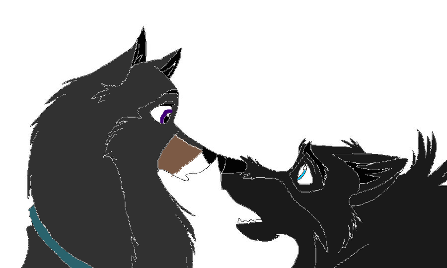 Rexie and shaddow meeting by Spirit-horse-adopts on DeviantArt