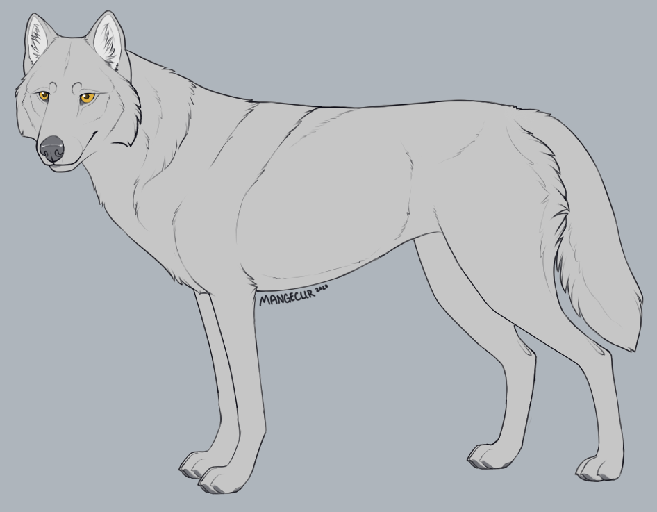 Free wolf Template for Dawn by mangecur on DeviantArt