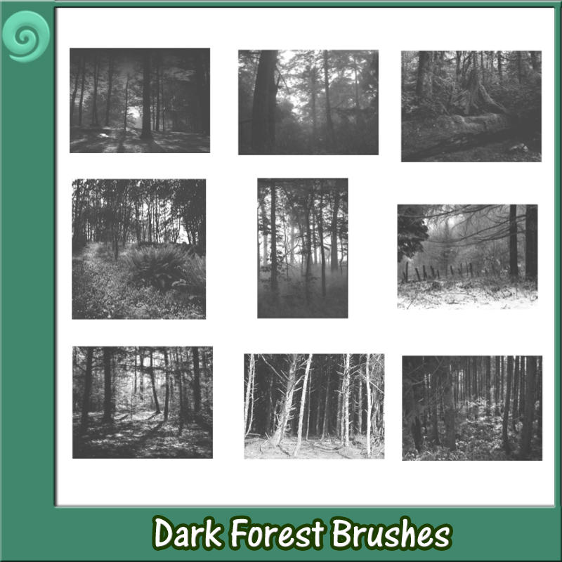 Dark Forest Brushes by Trash63 on DeviantArt