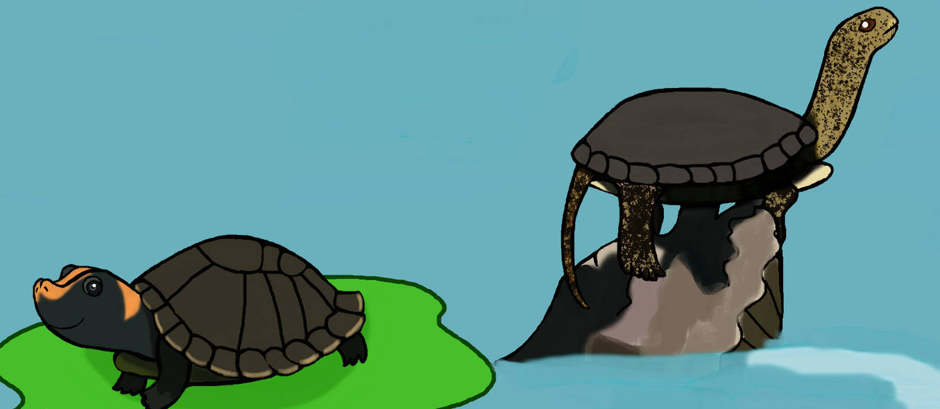 Happy World Turtle Day 2018 by Moonstone27 on DeviantArt