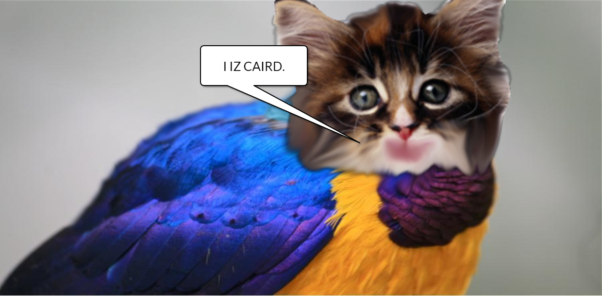 MORE CAT HEADED BIRDS!! by SwiglesHalleyDrally1 on DeviantArt