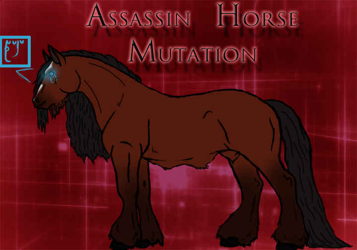 Group Horses on The-Assassin-Horse - DeviantArt