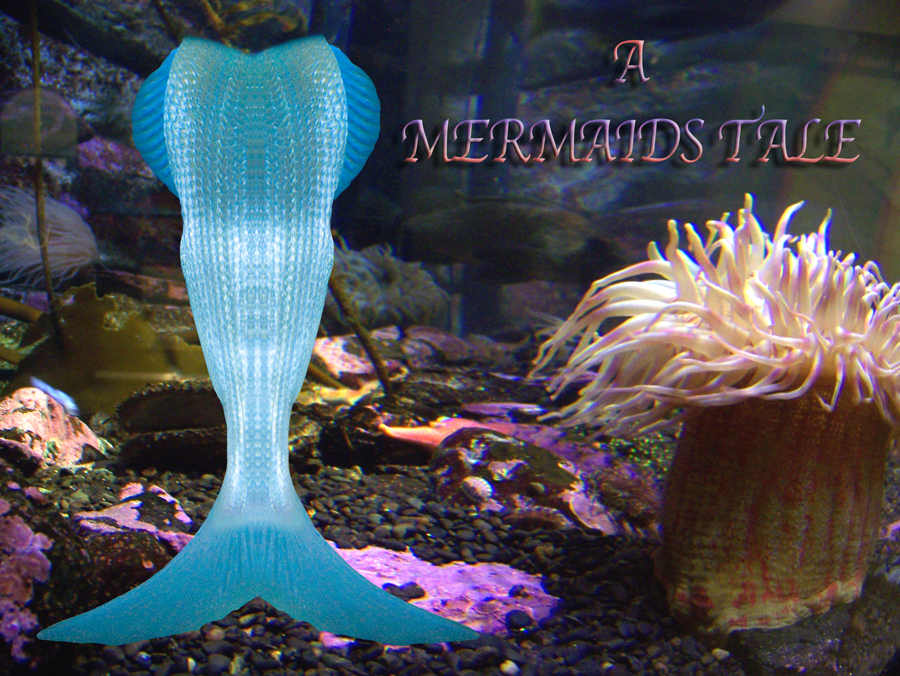 A Mermaids Tale by Just-A-Little-Knotty on DeviantArt