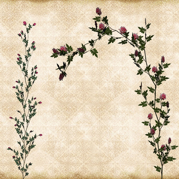 Pink Rose Pack by Just-A-Little-Knotty on DeviantArt