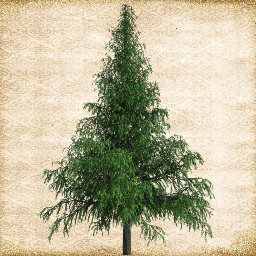 SpruceTree-01 by Just-A-Little-Knotty on DeviantArt