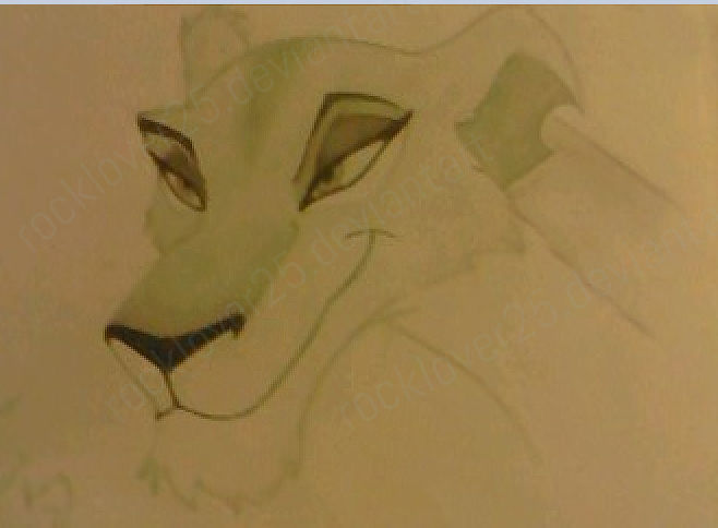 Zira, Lion King 2 by RockieTheWolf25 on DeviantArt