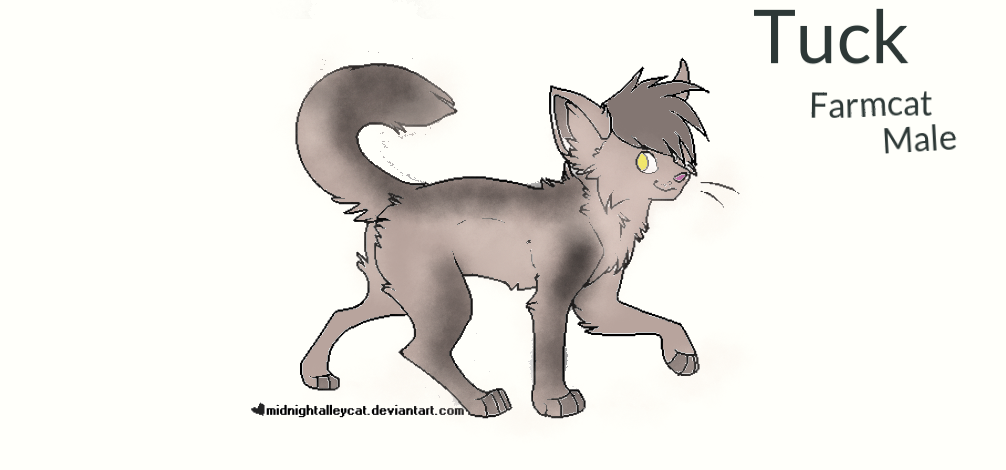 Tuck by XAskStolenJayX on DeviantArt