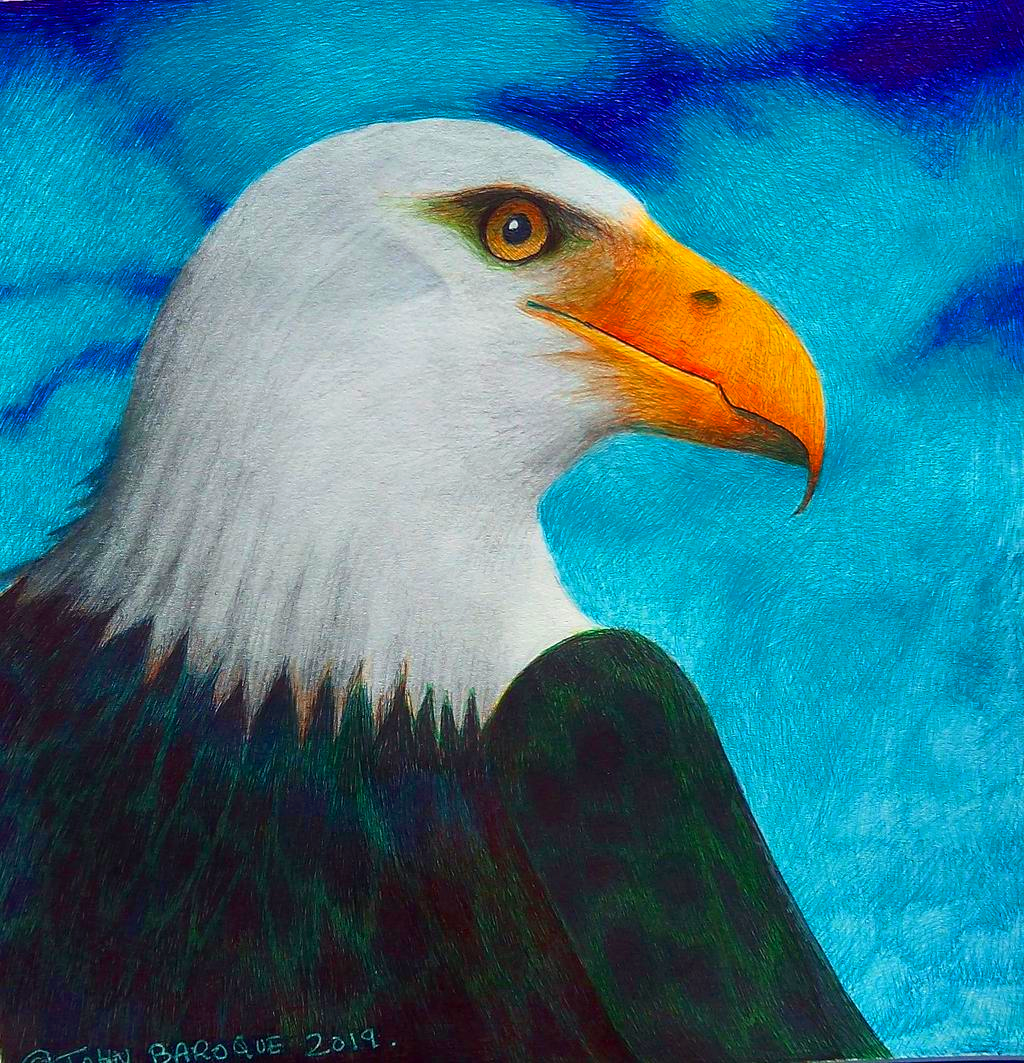 Kayla the Bald Eagle by John-Baroque on DeviantArt
