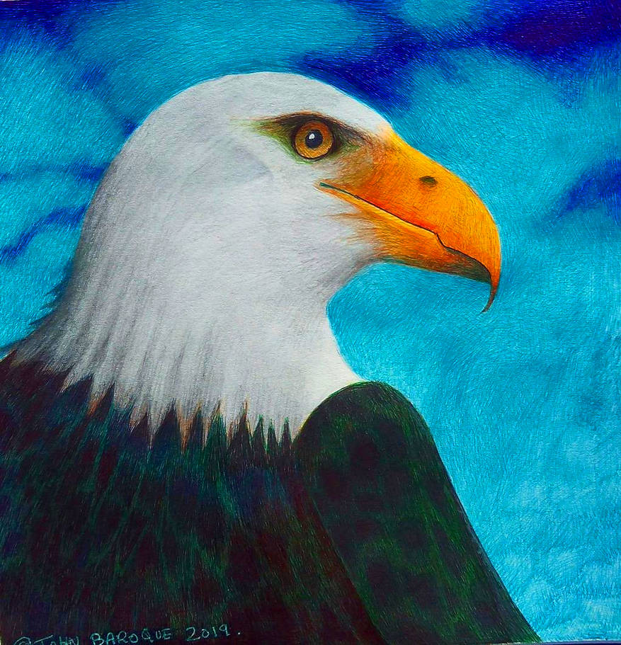 Kayla the Bald Eagle 2019 by John-Baroque on DeviantArt