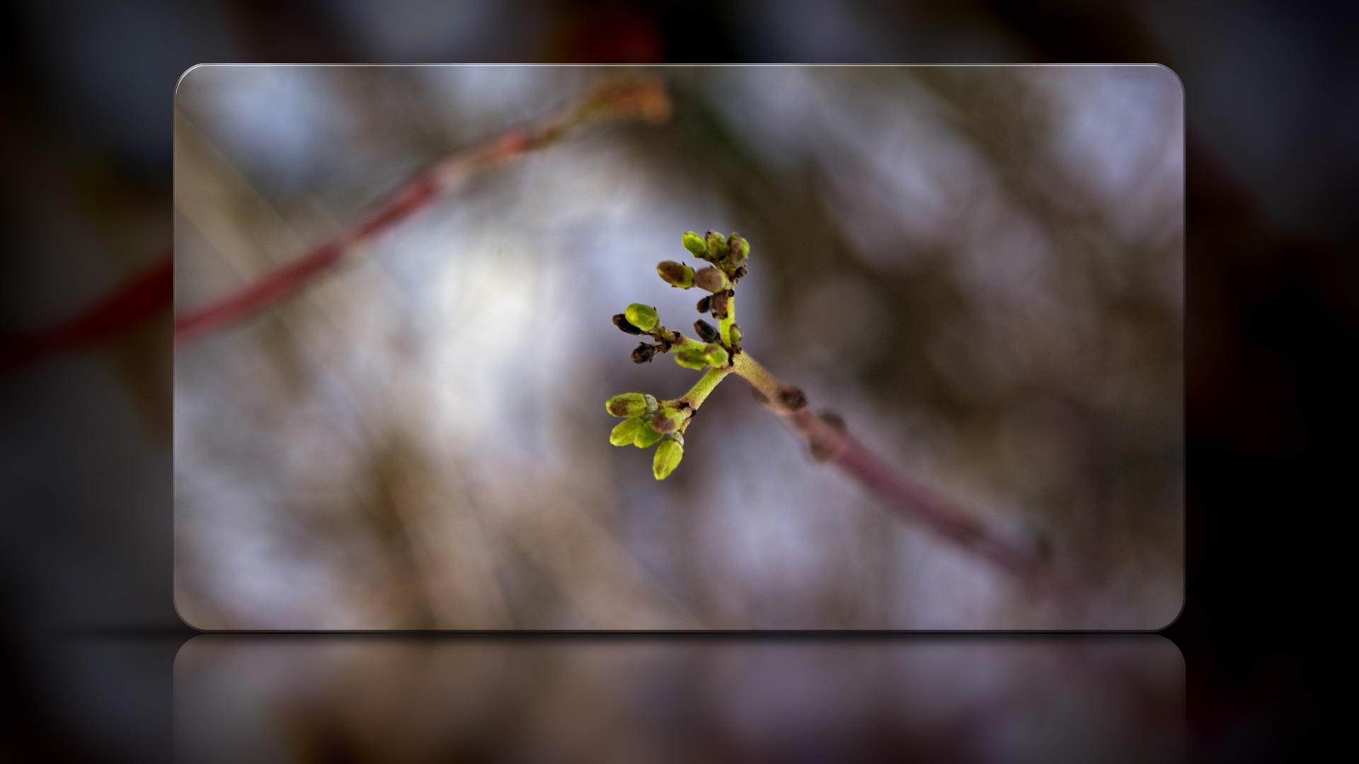 newlife wallpaper by NKspace on DeviantArt