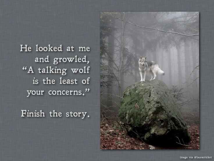 The Wolf by MerlynHawk on DeviantArt