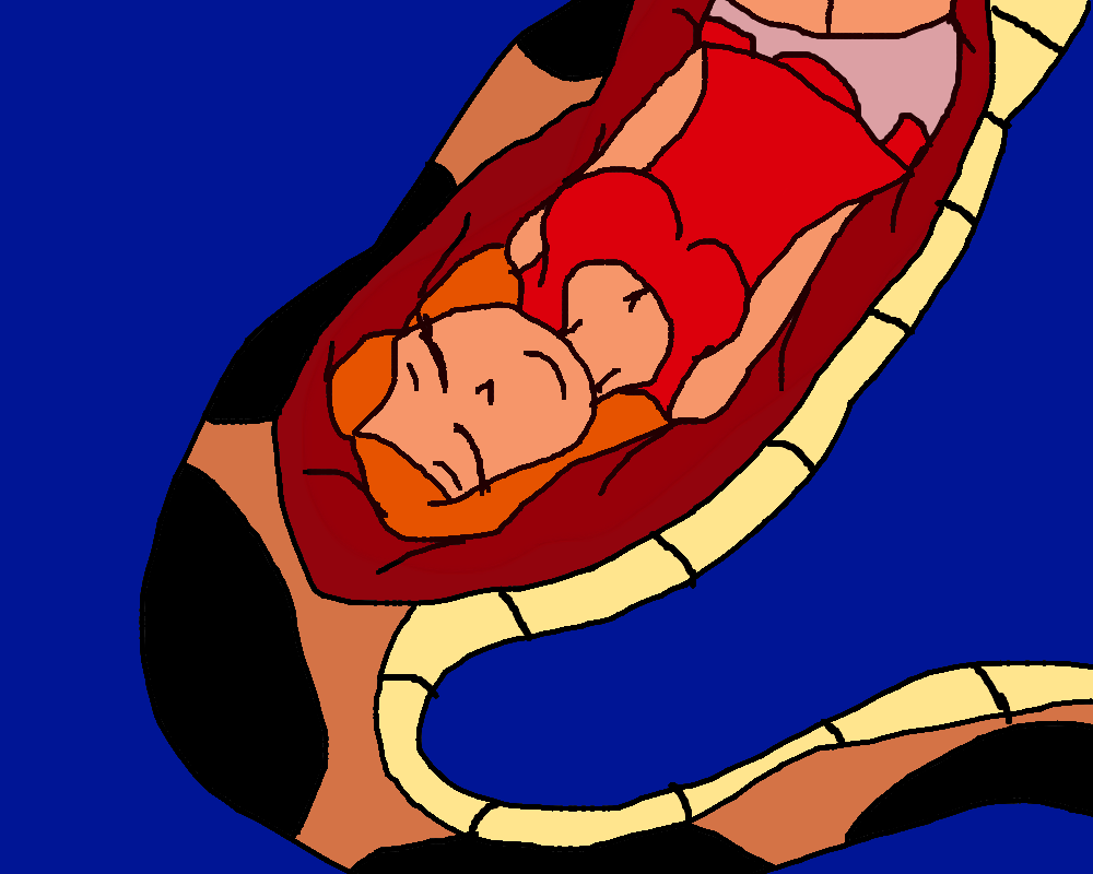 Candace and Kaa - Part 3 (Ending) by lileehilee on DeviantArt