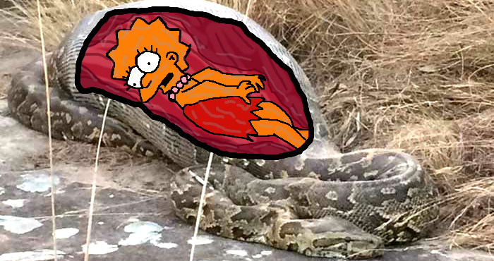 Lisa Inside the Python by lileehilee on DeviantArt