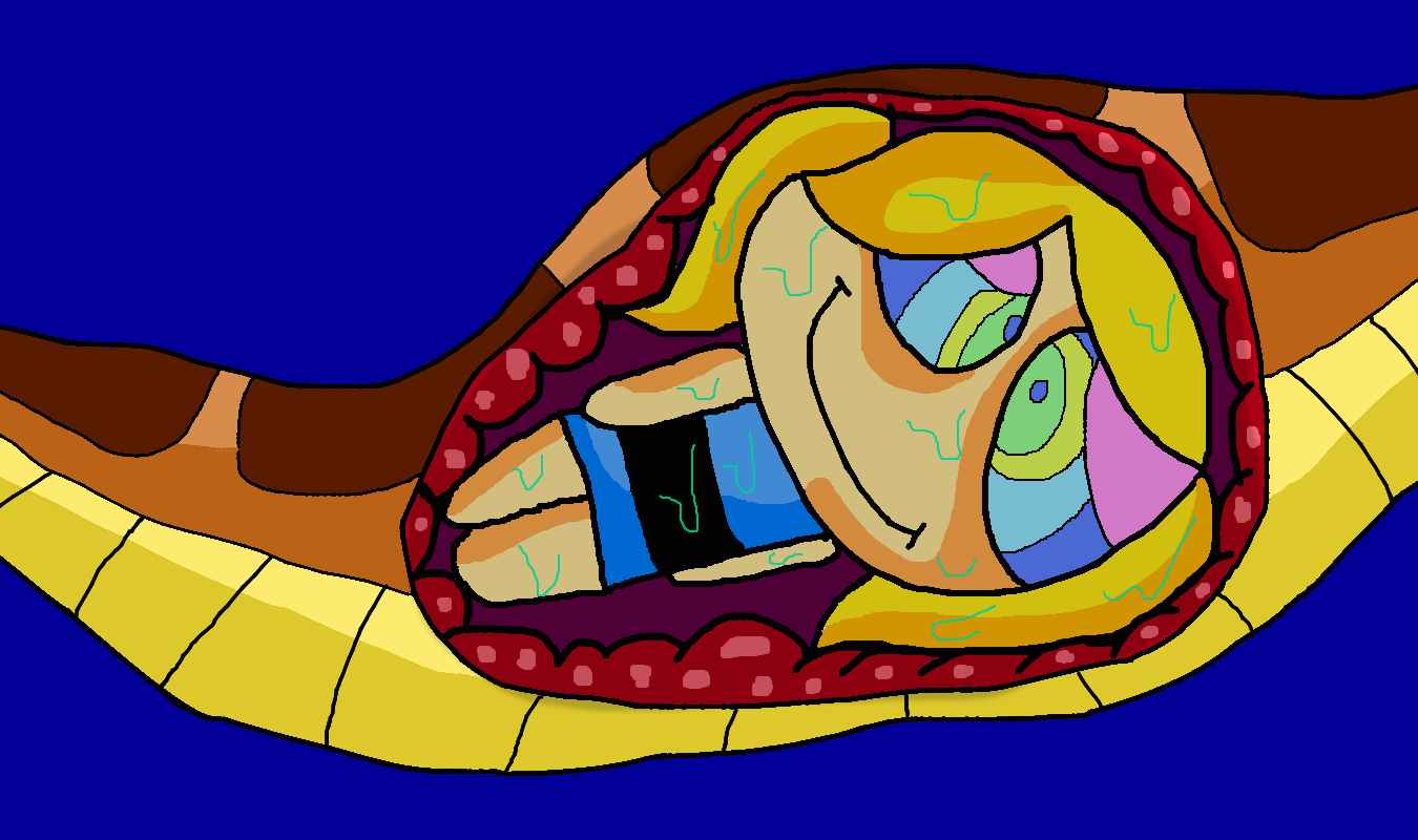 Bubbles Meets Kaa - Part 5 (ENDING) by lileehilee on DeviantArt