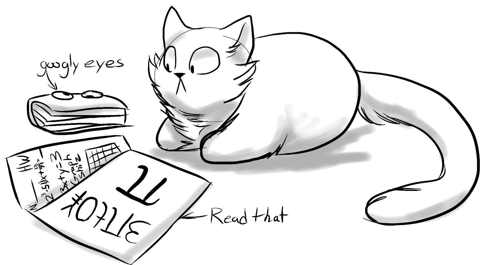 Math Kitty