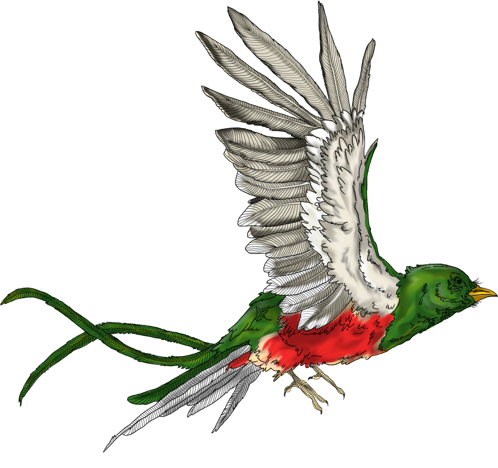 Update Quetzal Color (WIP) by MexicanLlama on DeviantArt