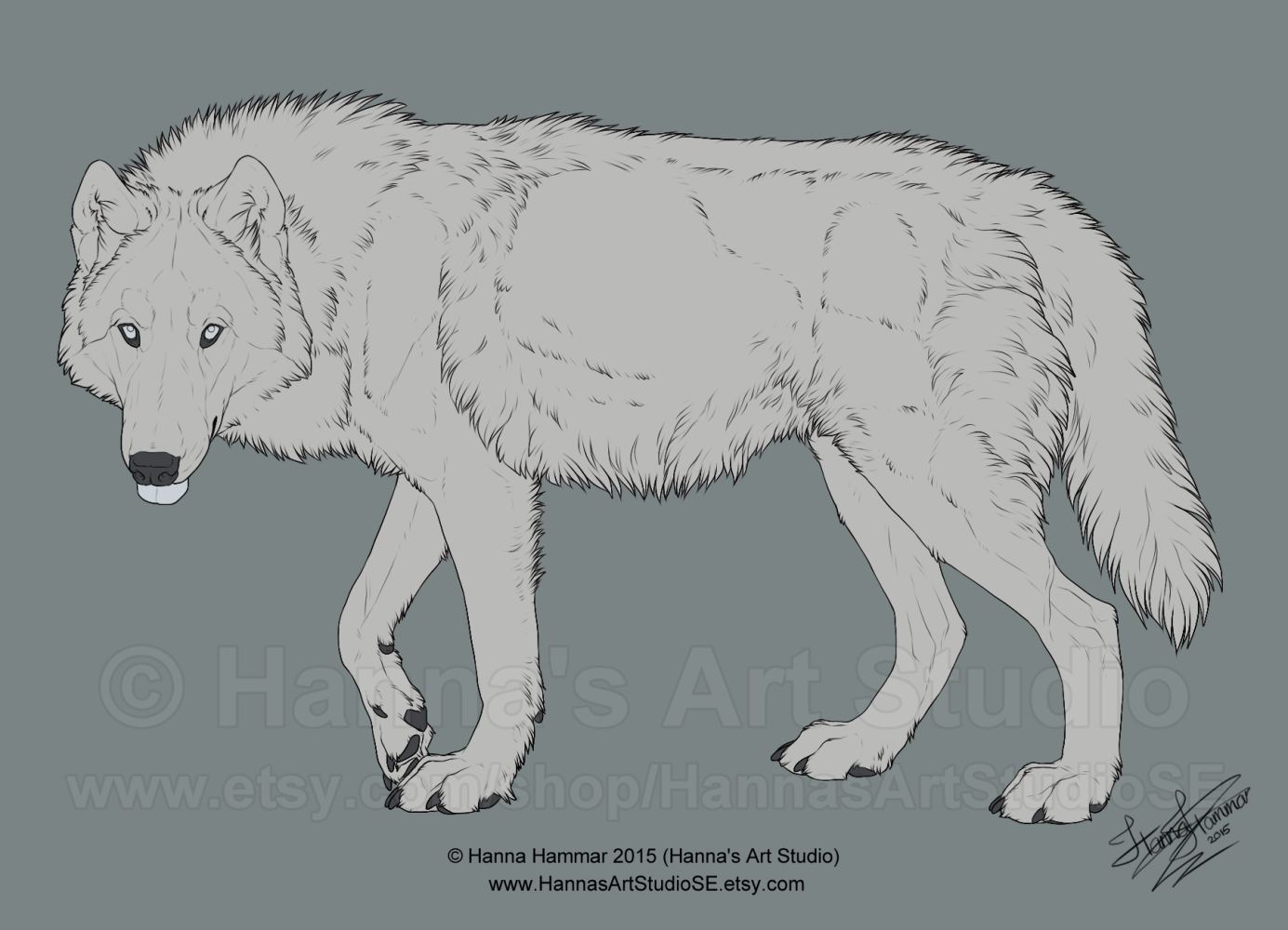 Wolf Line-art by HannasArtStudio on DeviantArt