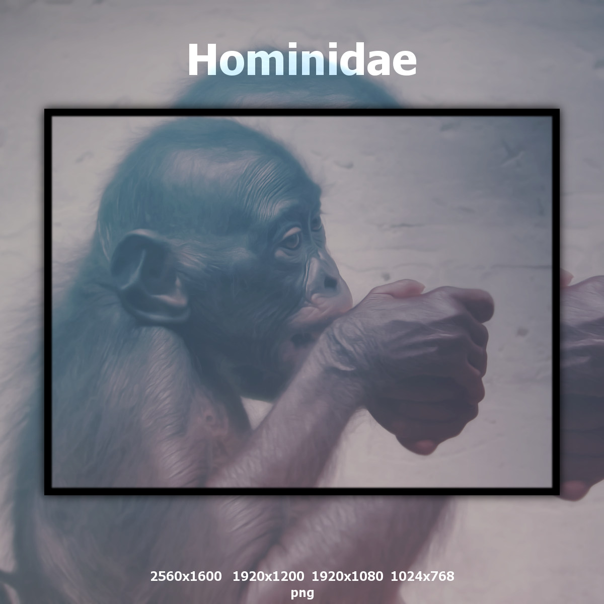 Hominidae by Momez on DeviantArt