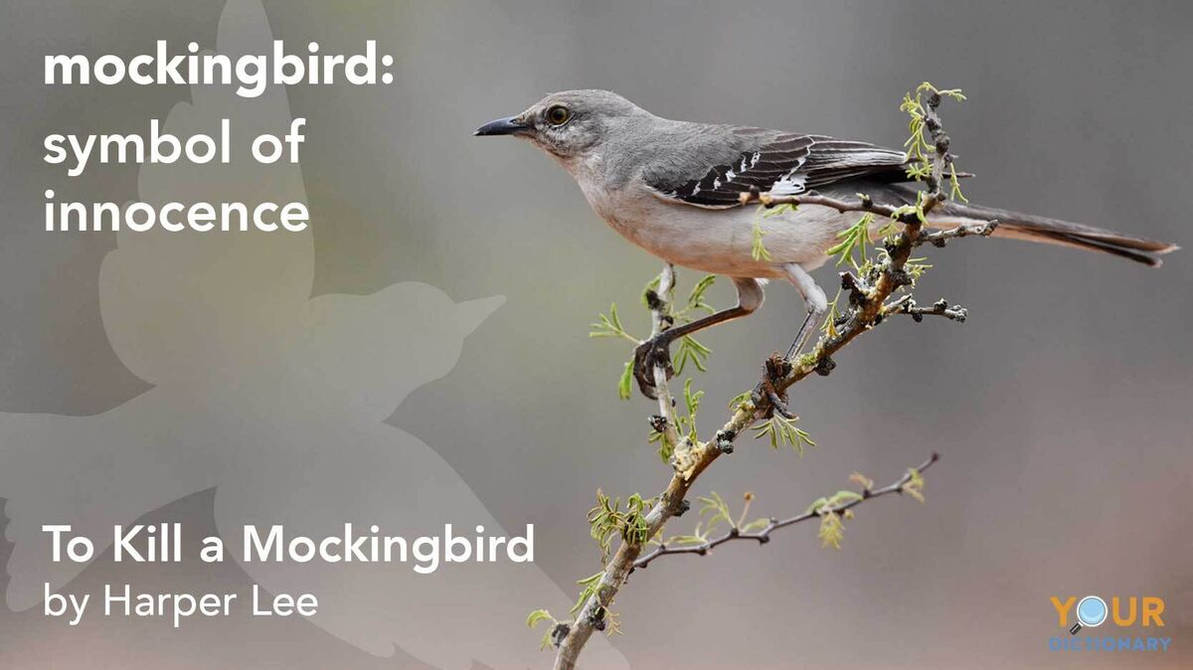 STS|| To Kill A Mockingbird by MossyRiver on DeviantArt