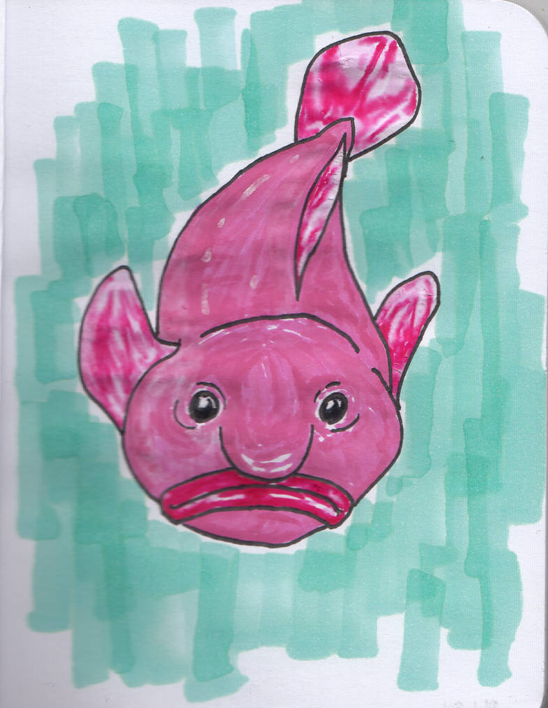 Blobfish by EladioPoblete on DeviantArt