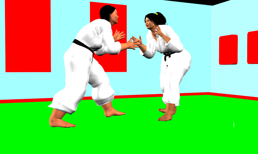 Quick Little Judo Test by Soldier2000 on DeviantArt