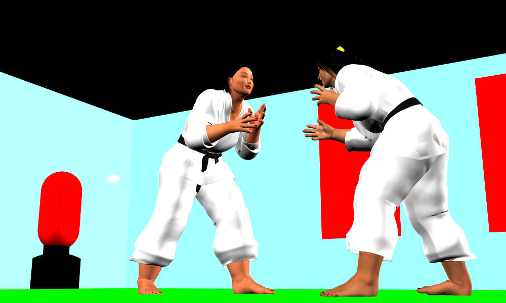 Quick Little Judo Test 2 by Soldier2000 on DeviantArt