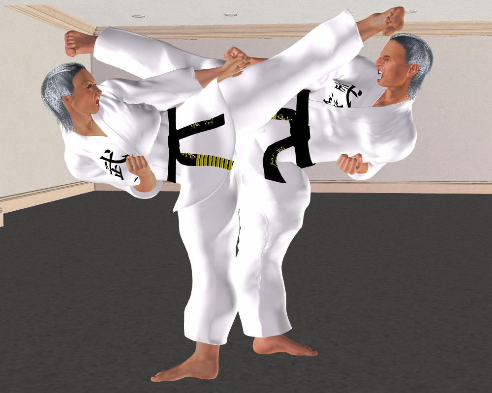 Husband-Wife Friendly Fight 2 Pt.1 by Soldier2000 on DeviantArt